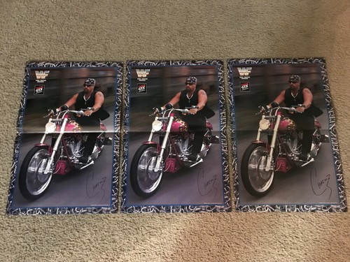 Vintage 1998 WWF CHAINZ Centerfold Poster Lot (3) 1990s WCW DOA BRIAN ...