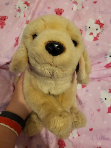 webkinz signature yellow labrador retriever (Z) | eBay