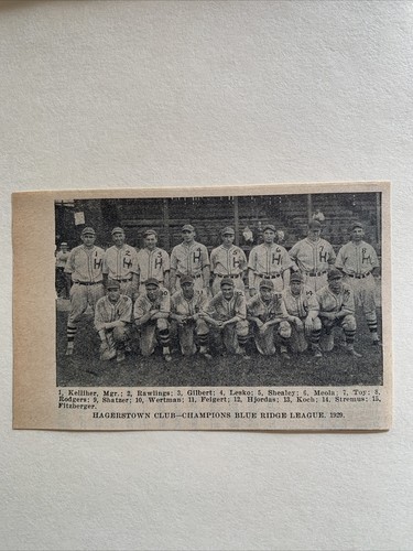 Hagerstown Hubs MD Maryland Mickey Keliher Mike Meola 1929 Baseball ...