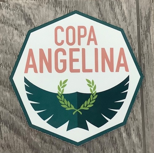 2022/23 WOMEN COPA ANGELINA PATCH | eBay