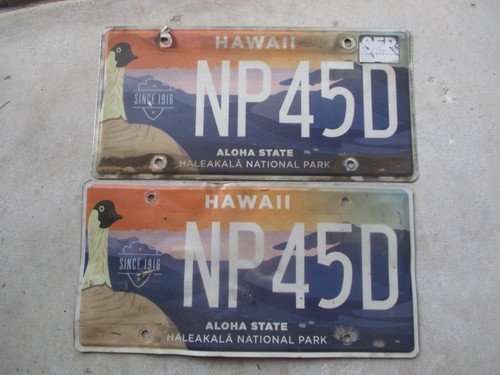 Hawaii 20198 Haleakala National Park license plate pair # NP45D | eBay