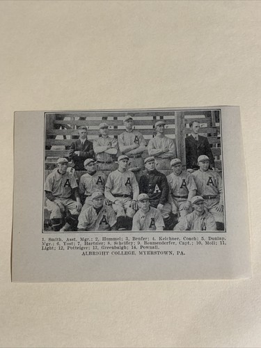Albright College Reading PA Pennsylvania 1913 Baseball Team Picture | eBay