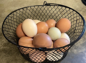 The Quail Barn | eBay Stores