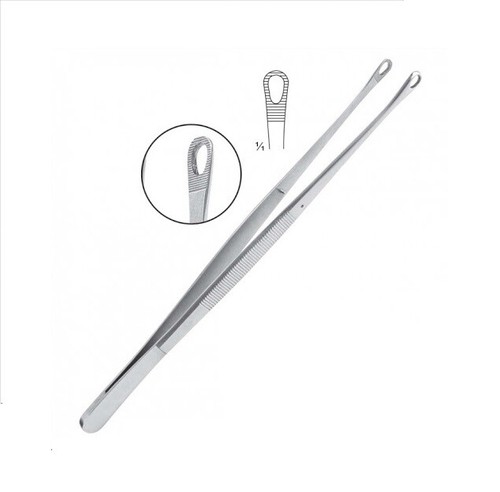 SINGLEY Tissue Forceps, 6", Straight, Serrated Loops, Premium Stainless ...