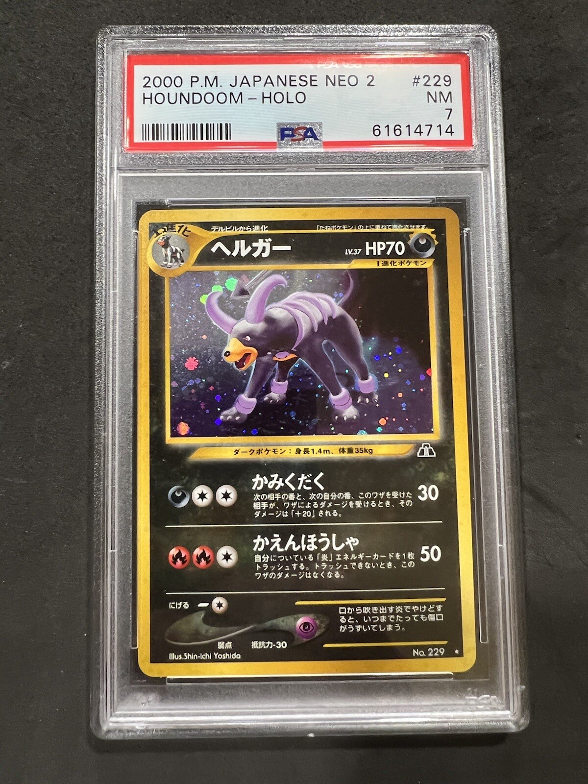 Houndoom 2000 Japanese Crossing the Ruins #229 Holo PSA 7 Price Guide ...