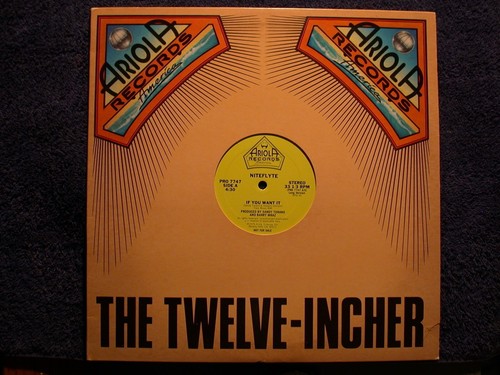 Niteflyte - If You Want It - U.S. PROMO 12" VINYL | eBay