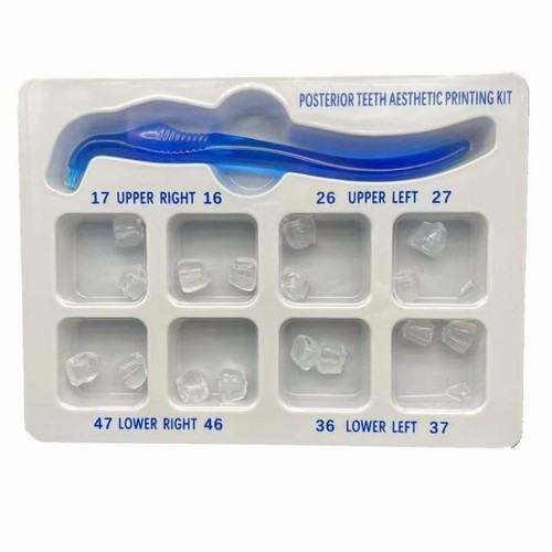 Dental Posterior Teeth Aesthetic Printing Kit Tooth Repair Filling ...