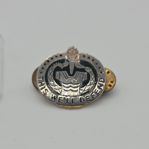 US Army Drill Instructor Trainer Military Insignia DUI DI Pin by ...