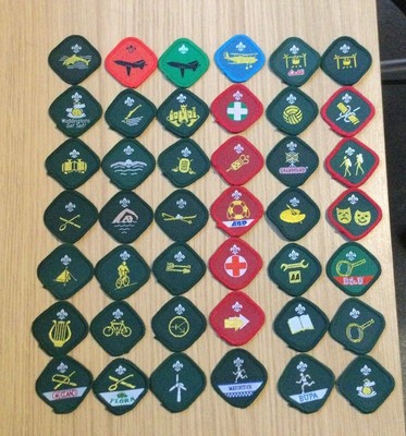 Scouts/Guides Badges/Pins 2000 to Present Decade Collectable Scout ...