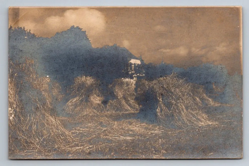 Vintage Postcard Haystacks Rural Landscape Nostalgic Farm Scene Unused ...