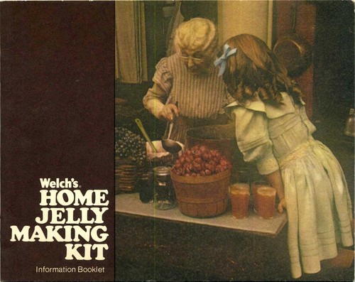 Welch's Home Jelly Making Kit Information Booklet | eBay