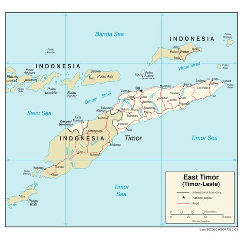 East Timor Timor-Leste Road Highway Transportation Map Country Poster ...