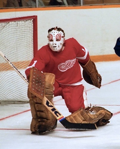 Jim Rutherford Of The Detroit Red Wings 1980 Ice Hockey Old Photo 3 | eBay