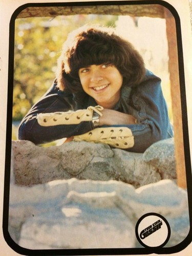 Tony DeFranco, De Franco Family, Full Page Vintage Pinup | eBay