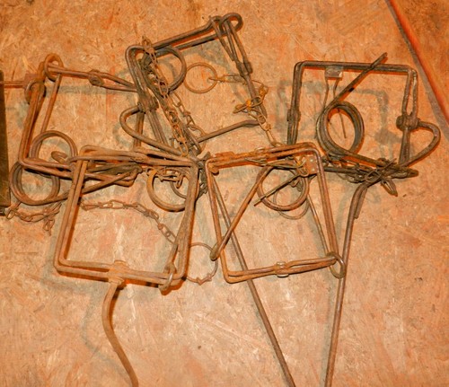 Vintage Conibear 110 body grip traps 3 have stands 1970s quality | eBay