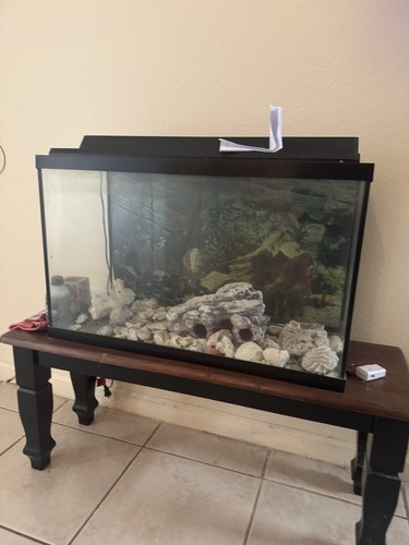 Fish Tank | eBay