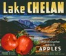 Lake Chelan Washington Trout Apple Fruit Crate Label Art Print | eBay