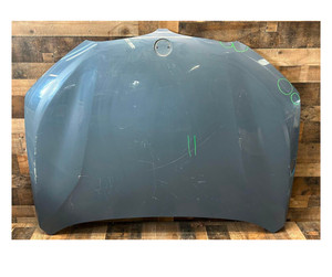 Hood Panels for 2022 BMW X1 for sale | eBay