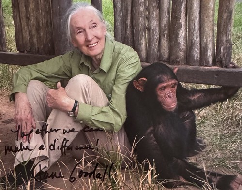 Jane Goodall , Signed Autographed , 8x10 Color Photo | eBay