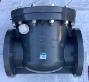 Swing PVC Body 6 in Diameter Check & Foot Valves for sale | eBay