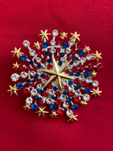 Daughters of the American Revolution “Sparkling Fireworks” Pin NEW | eBay
