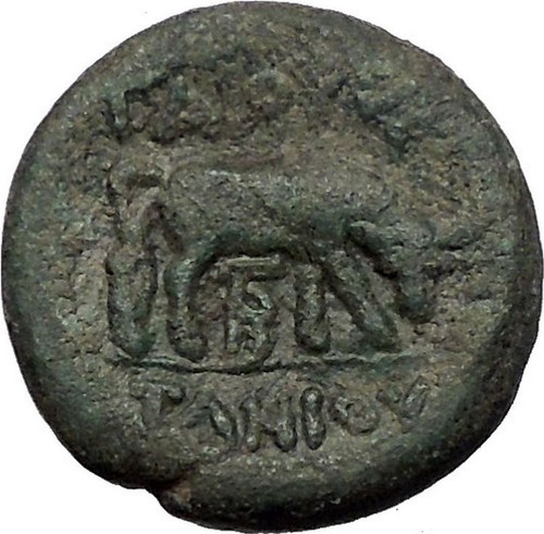 PELLA in MACEDONIA 168BC Roman Quaestor Tamios Athena Bull Greek Coin ...