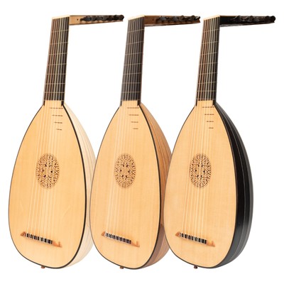 Renaissance Lute in Lutes for sale | eBay