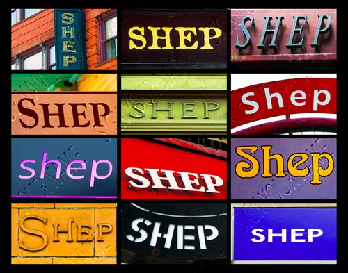 SHEP Name Poster featuring photos of actual signs | eBay