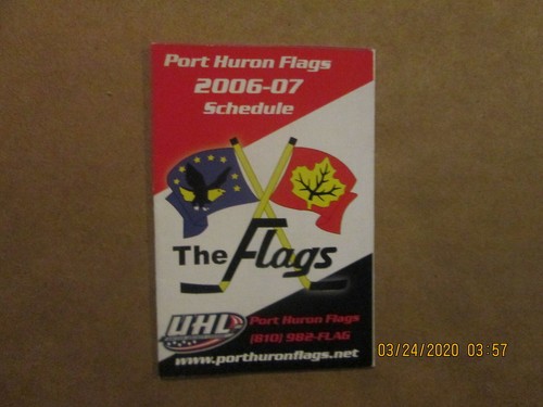 UHL Port Huron Flags Vintage Defunct Circa 2006-07 Team Logo Pocket ...