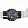 Flow Meter, Blue-White, F-1000, Digital, 2" PVC, 30-300 gpm ...