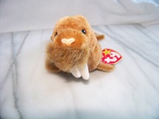 Paul the Walrus : Beanie Babies : Beaniepedia