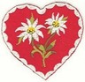 German Swiss Edelweiss Flower Embroidery Applique Patch | eBay