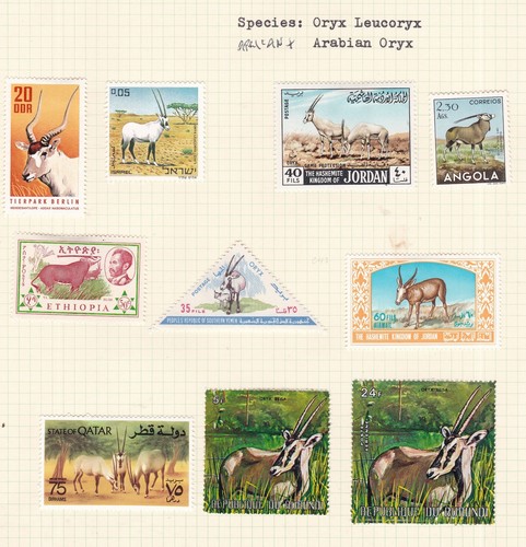 WORLD ( ORYX,ADDAX)^^^^^^x10 hinged ( ORYX,WILDLIFE) hcv @xrum33oryx | eBay