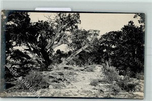 Ansichtskarten-Center | eBay Stores