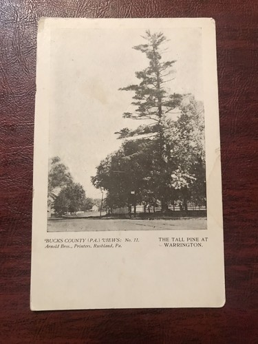PA Warrington Pennsylvania The Tall Pine Arnold Bro 11 Bucks County ...