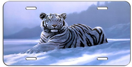 CUSTOM LICENSE PLATE SNOW WHITE TIGER AUTO TAG | eBay