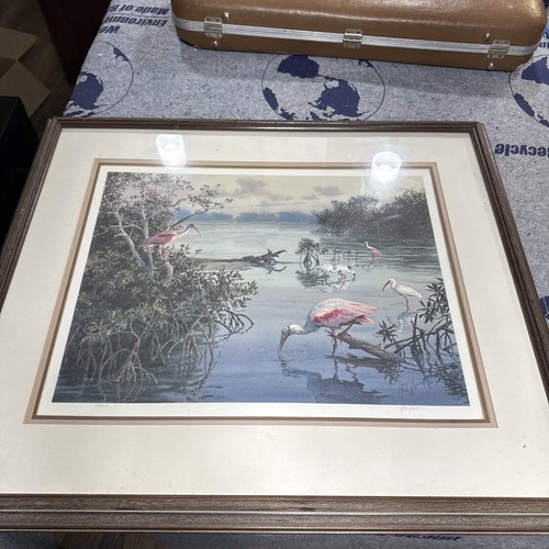 PHIL CAPEN ROSEATE SPOONBILL EVERGLADES NATIONAL PARK , Framed 23/250 ...