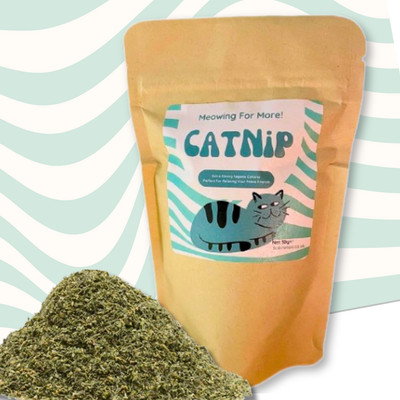 Strong Catnip for sale | eBay