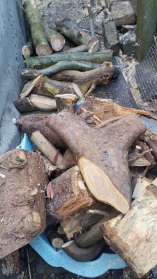 Tree Logs for sale | eBay