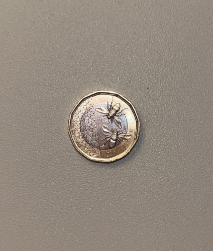 2023 King Charles Bees £1 Pound Coin | eBay UK