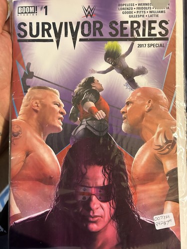 WWE Survivor Series 2017 Special #1 One-Shot BOOM! Studios 8.0 J54-122 | eBay