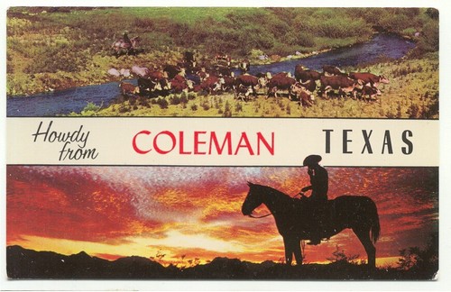 Howdy From Coleman Texas Vintage Postcard | eBay