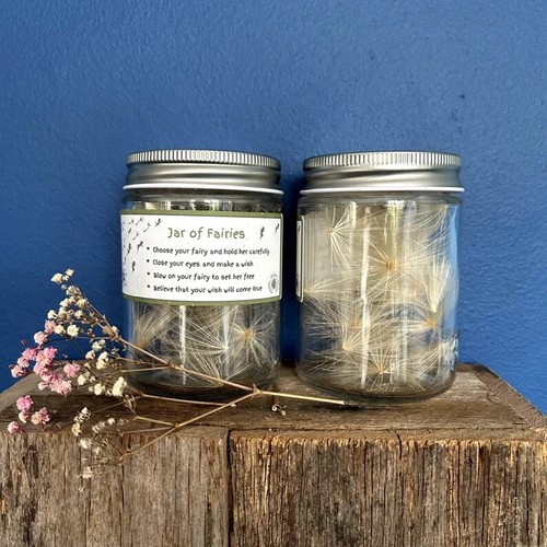 Jar of Fairies Fairy Wishes Thistle Fairies Preserved Thistledown in ...