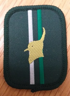 scout patrol badges products for sale | eBay UK