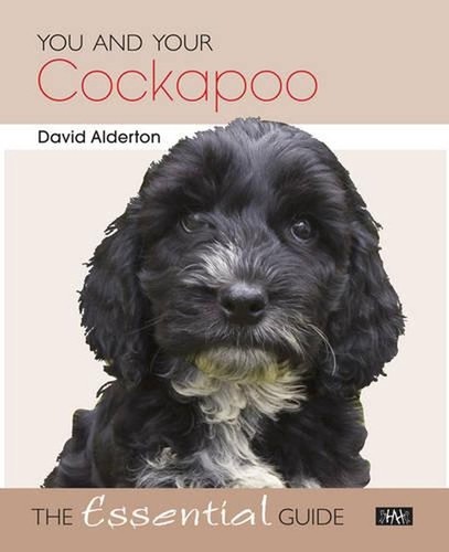 You and Your Cockapoo: The Essential Guide by David Alderton (English ...