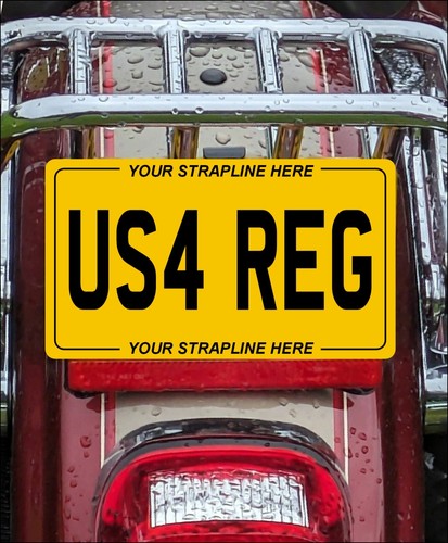 Size 7x4 Aluminium PLATE usa american bike metal show plates rear reg ...