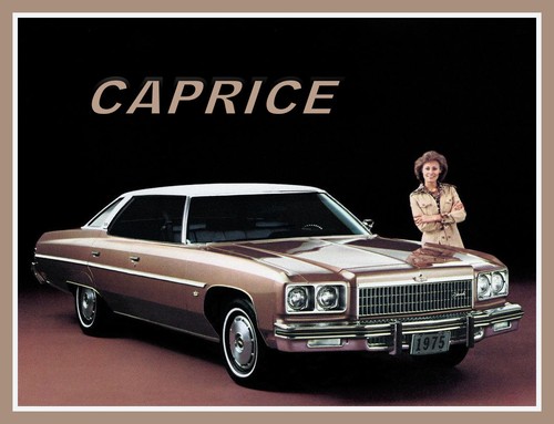 1975 Chevrolet Caprice Classic 4 door Toolbox/Man Cave/Refrigerator ...