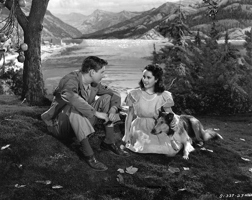 8x10 Print Elizabeth Taylor Tom Drake Courage of Lassie 1948 #COLA | eBay