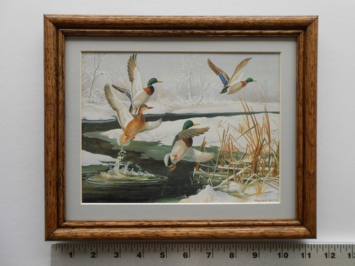 Maynard Reece EARLY ARRIVALS-MALLARDS 8x10 framed 2.1 535 | eBay