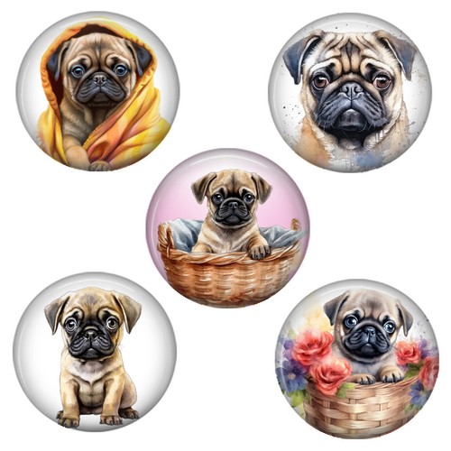 SET OF 5 Pug Dog Magnets Pug Watercolor Art Prints Button Style 1.25 ...